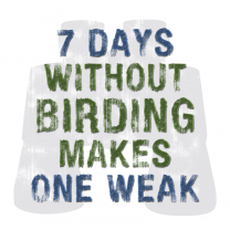 Birder Gifts: Original T-Shirts & Gifts for Birdwatchers & Bird Lovers